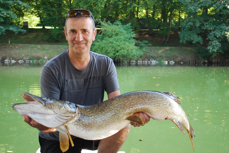 Ščuka kapitalka - Ribiška družina Novo mesto