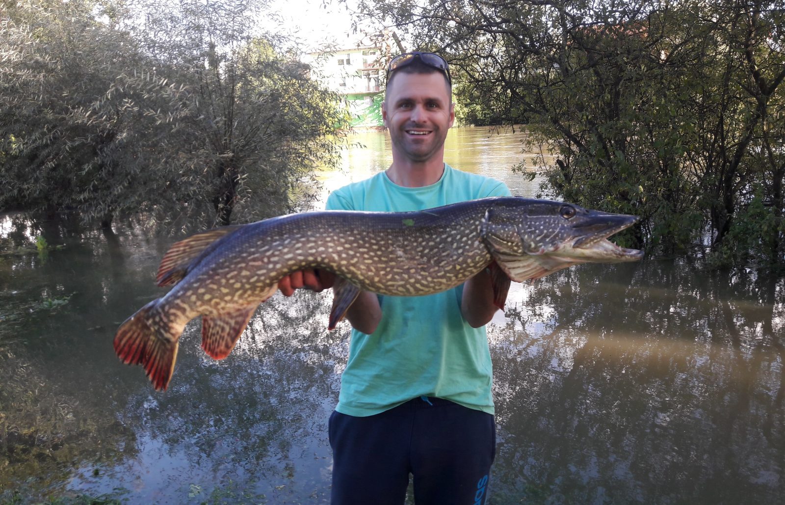 Ščuka je, ščuke so…. - Ribiška družina Novo mesto