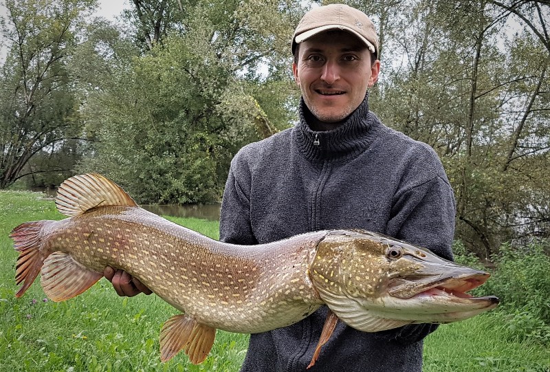 Ponovno ščuka kapitalka… - Ribiška družina Novo mesto