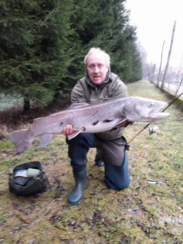 Sulcev, da te kap…. - Ribiška družina Novo mesto