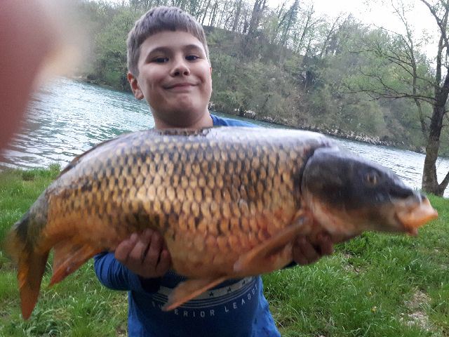 Krap starejši od ribiča ? - Ribiška družina Novo mesto