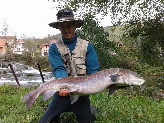Prvi letošnji sulec ujet na potezanko.. - Ribiška družina Novo mesto